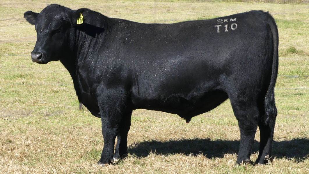 Lot 5 - ALUMY CREEK MONUMENTAL T010 | AuctionsPlus