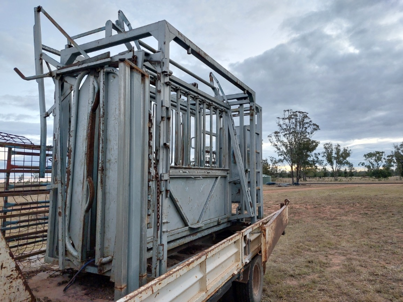 Lot 31 - Thompson Longhorn cattle crush head bale | AuctionsPlus