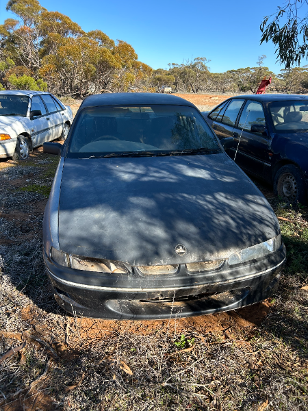 Lot 159 - Vr Blue Commodore | AuctionsPlus