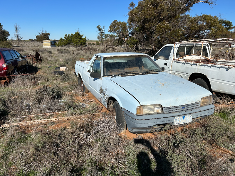 Lot 161 - Ute | AuctionsPlus