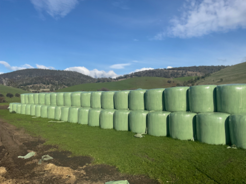 Lot 106 - 24 silage bales | AuctionsPlus