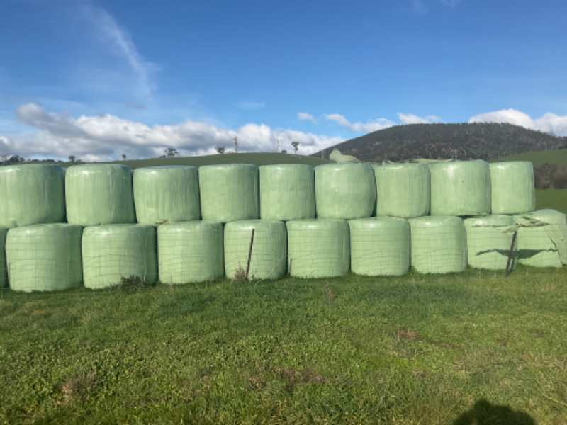 Lot 107 - 24 silage bales | AuctionsPlus