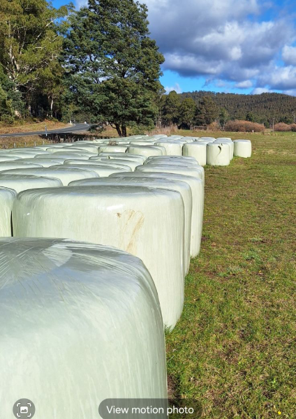 Lot 100 - Wrapped Silage x 30 (semi-trailer load) | AuctionsPlus