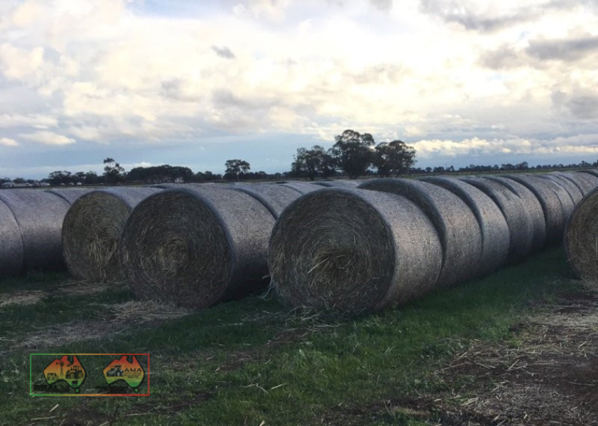 Lot 79 - (8184) 25x Rolls of Oaten Hay ($/Roll) | AuctionsPlus