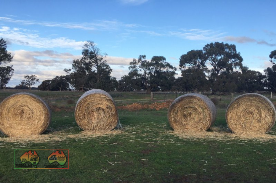 Lot 77 - (8185) 25x Rolls of Oaten Hay ($/Roll) | AuctionsPlus