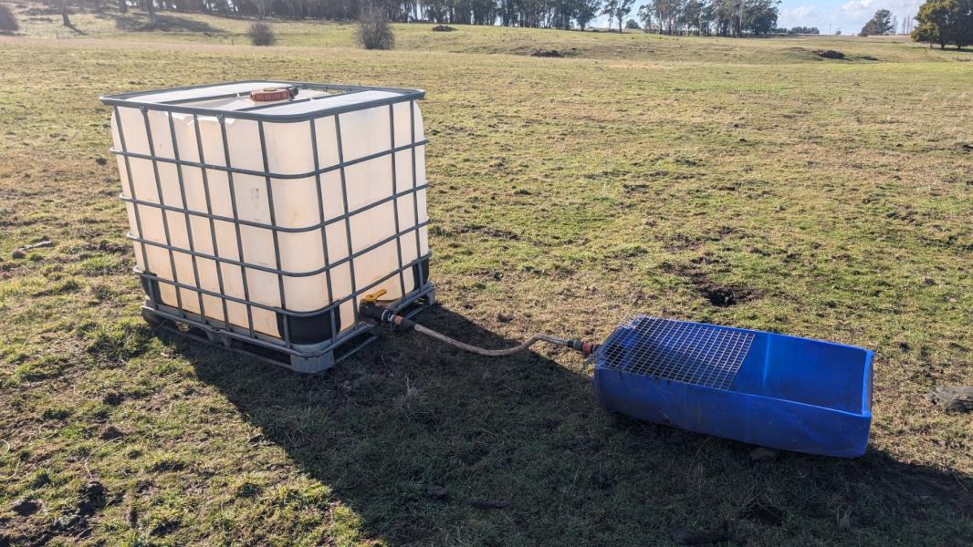 Lot 68 - 1000L Pod & Trough | AuctionsPlus