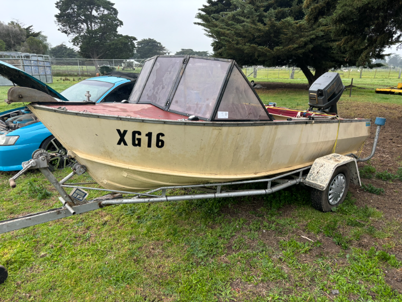 Lot 29 - Tinnie Boat w Suzuki Outboard Engine | AuctionsPlus