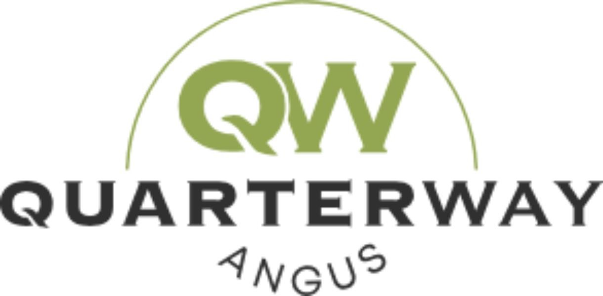 Lot 46 - QUARTER-WAY TRIPLE TOP T254 | AuctionsPlus