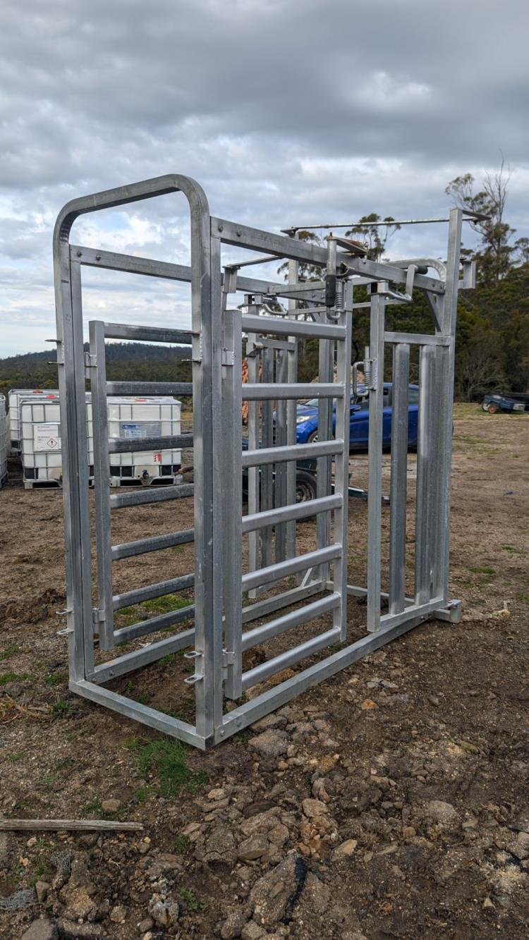 Lot 43 - 3 Way Cattle Drafting Race | AuctionsPlus