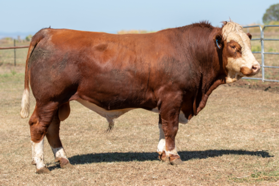 Lot 23 - SHIILOH TONKA TUFF T014 | AuctionsPlus