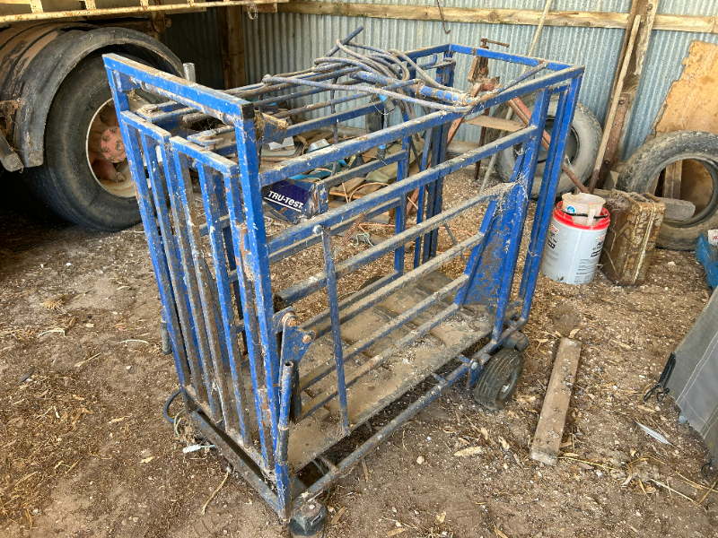 Lot 16 - Tru-Test Sheep Crate | AuctionsPlus