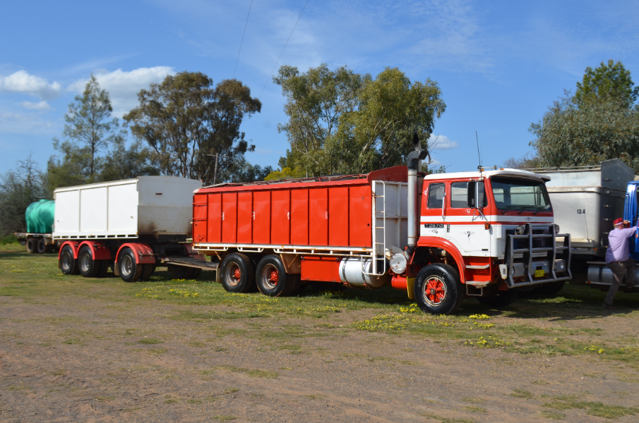 Lot 183 - 1989 International Tipper & Super Dog | AuctionsPlus