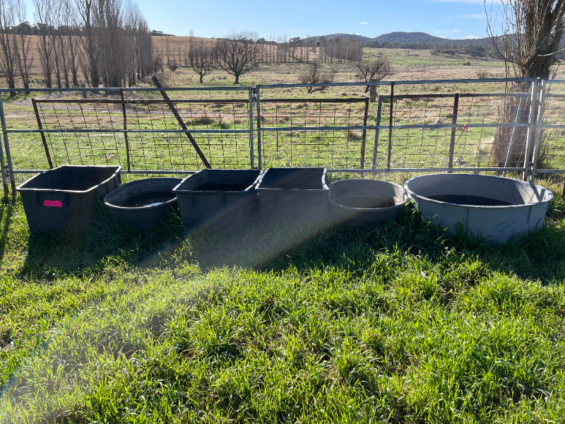 Lot 3 - ASSORTED PLASTIC TROUGHS | AuctionsPlus