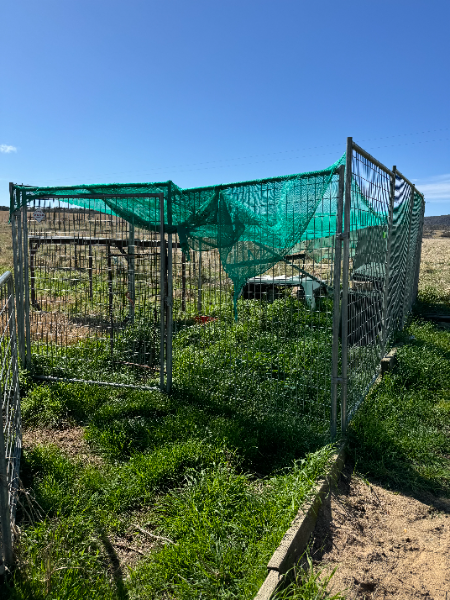Lot 45 - ENCLOSED DOG RUN | AuctionsPlus