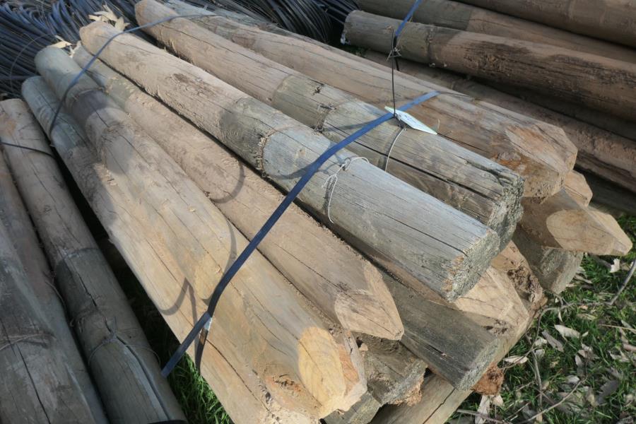 Lot 128 - Treated Pine Fence Posts | AuctionsPlus