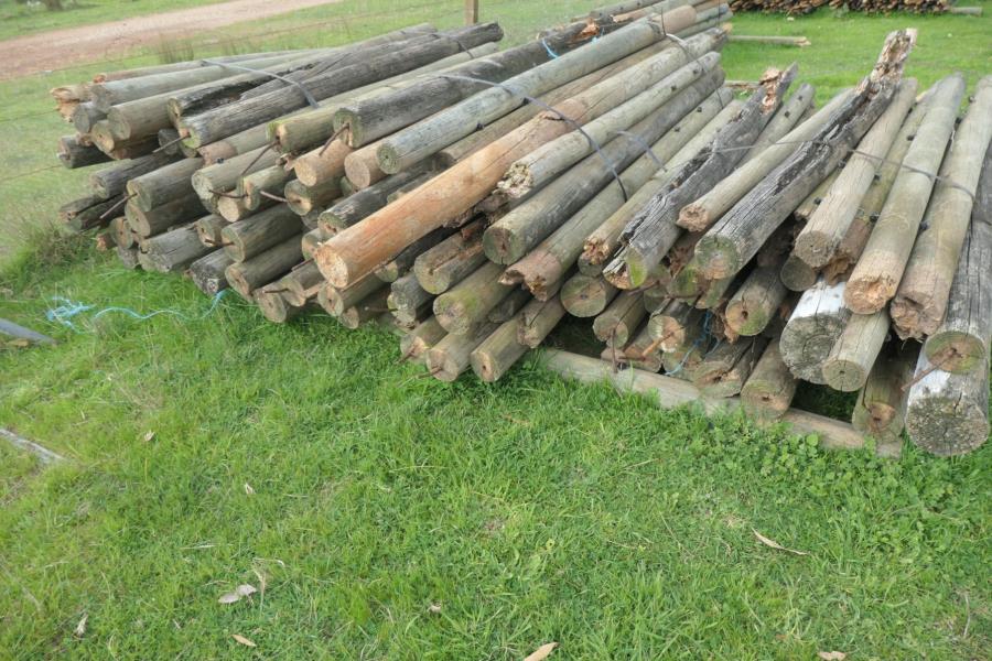 Lot 141 - 3 x Bundles Treated Pine Fence Posts | AuctionsPlus