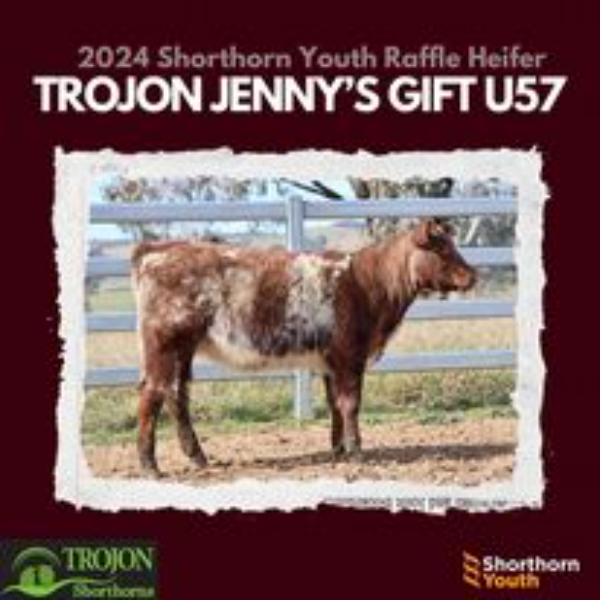 Lot 27A - 20 X RAFFLE TICKETS IN TROJON JENNYS GIFT U57 | AuctionsPlus