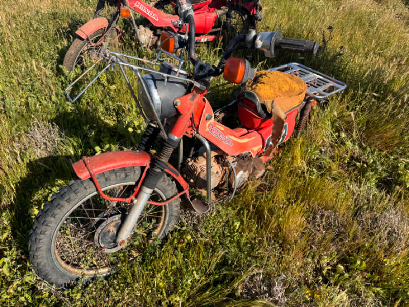 Lot 152 - AG Bike | AuctionsPlus