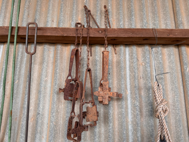 Lot 244 - Rabbit Traps | AuctionsPlus