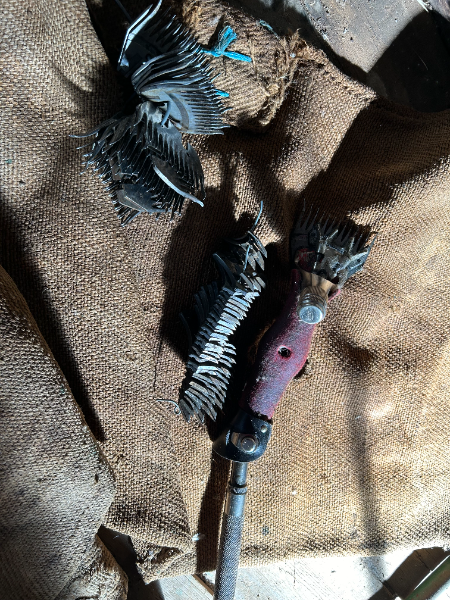 Lot 155 - Sunbeam Wide Handpiece & combs & cutters | AuctionsPlus
