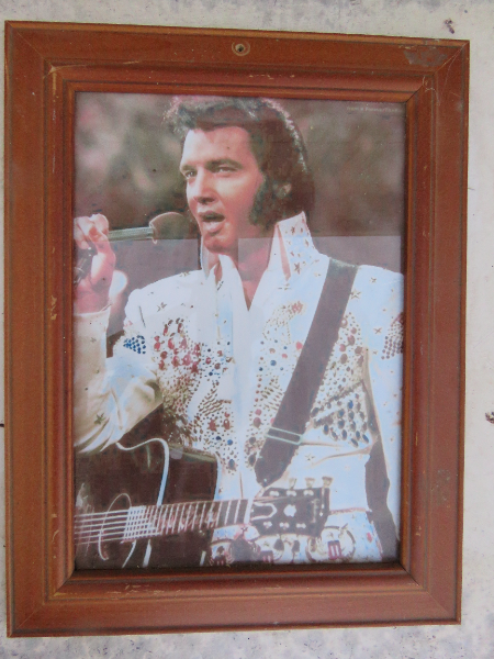 LOT 24 - ELVIS PRINT | AuctionsPlus