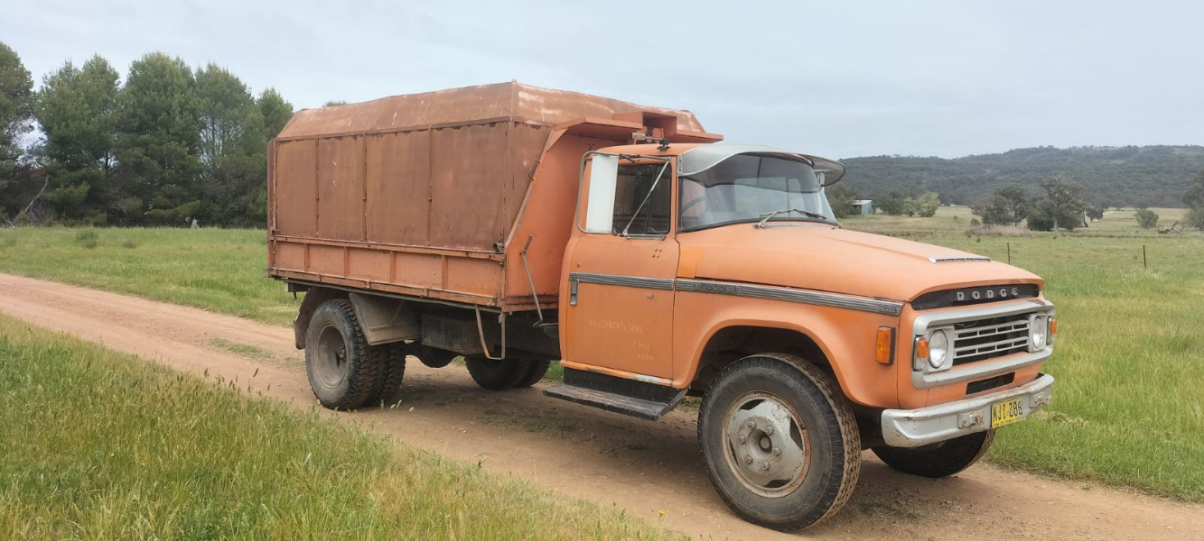 Lot 98 - Dodge Tipper Truck With Gravel Sides and Grain Bin | AuctionsPlus