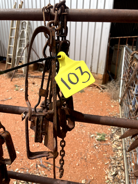 Lot 103 - Rabbit Traps | AuctionsPlus