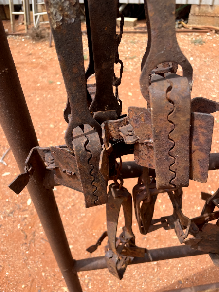Lot 97 - Rabbit Traps | AuctionsPlus