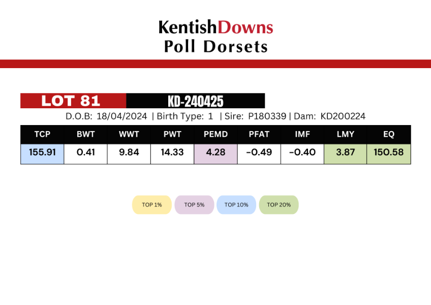 Lot 81 - Tag - 240425 | AuctionsPlus