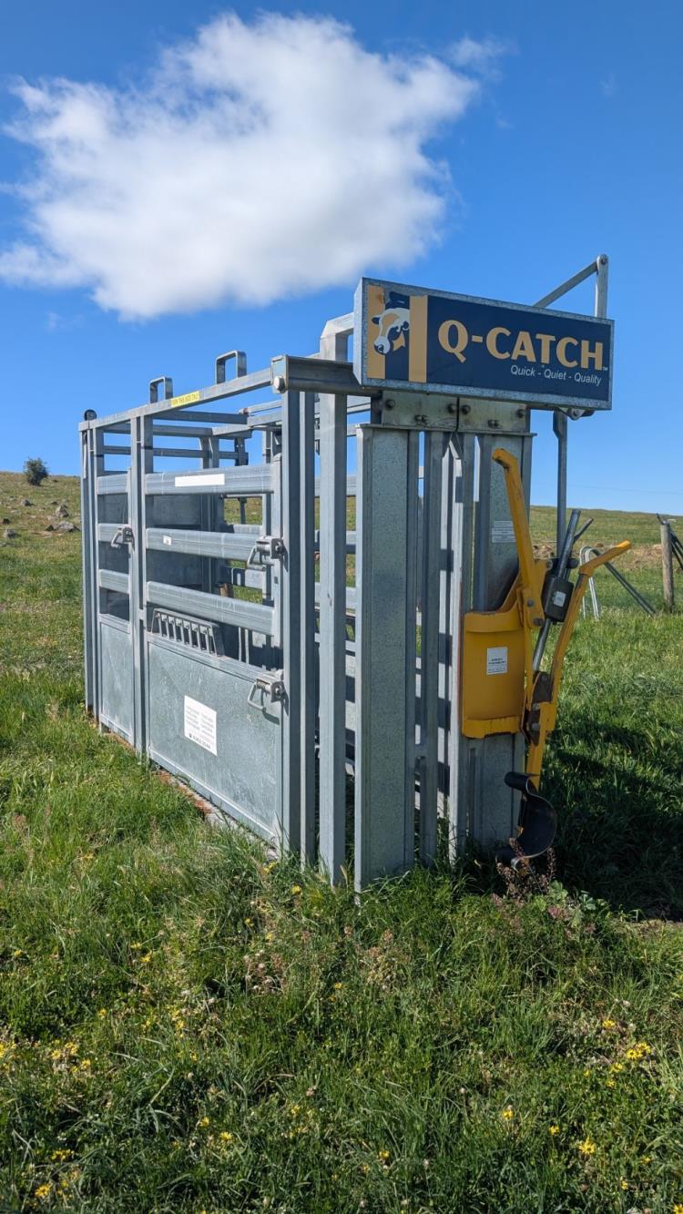 Lot 24 - Arrow Q Catch Cattle Crush w/ Squeeze Sides & Chin Catcher ...