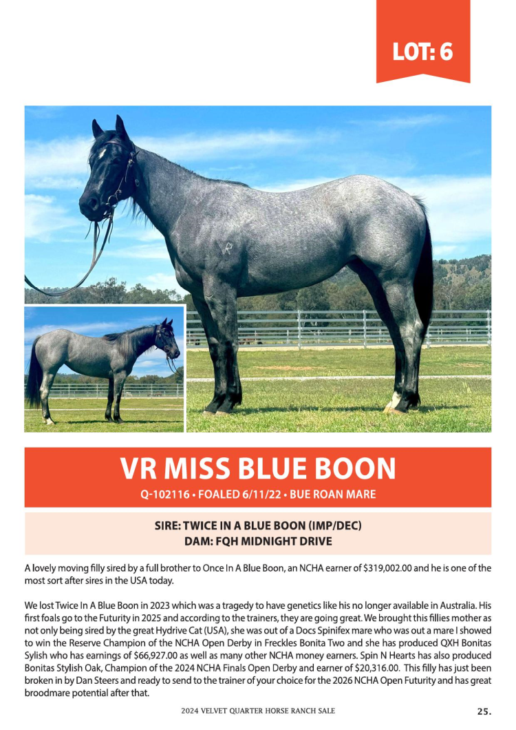 Lot 6 - VR Miss blue boon | AuctionsPlus