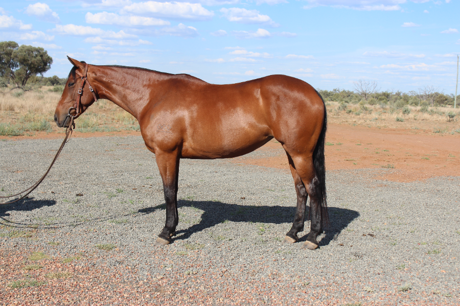 Lot 31 - MARIJAH SPINNING SHAPES | AuctionsPlus