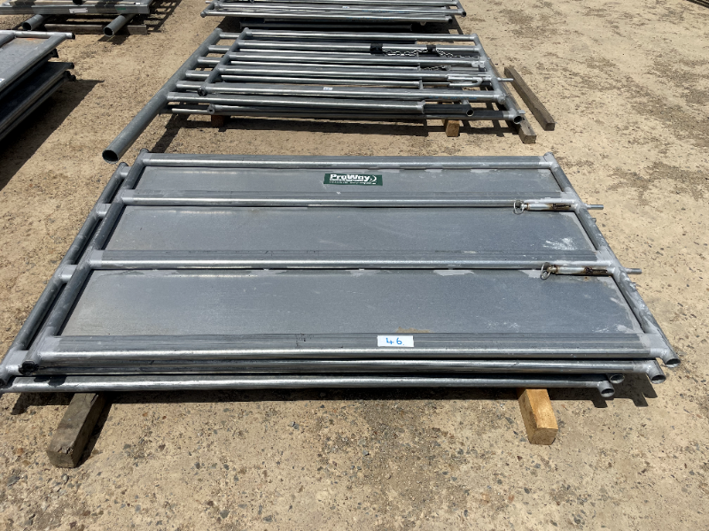 Lot 46 - 4x Cattle Sheeted V Handling Race Gates | AuctionsPlus