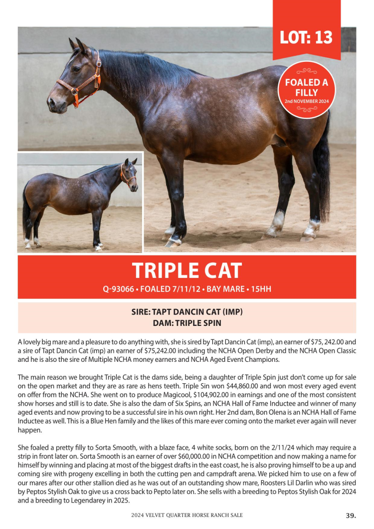 Lot 13 - TRIPLE CAT | AuctionsPlus