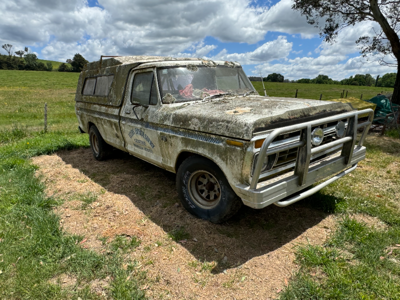 Lot 29 - Ford F100 | AuctionsPlus