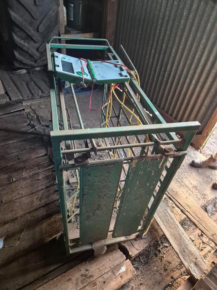 Lot 140 - Ruddweigh Sheep Weigh Crate & Scales | AuctionsPlus