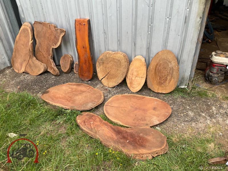 Lot 35 - Assorted Camphor Laurel Timber Slabs | AuctionsPlus