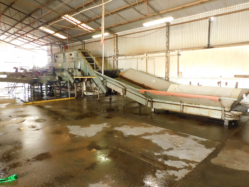 Potato Plant Washer - Complete | AuctionsPlus