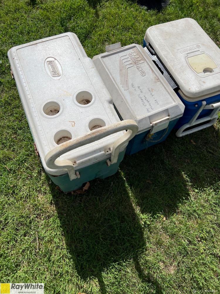 Lot 56 - Eskies | AuctionsPlus