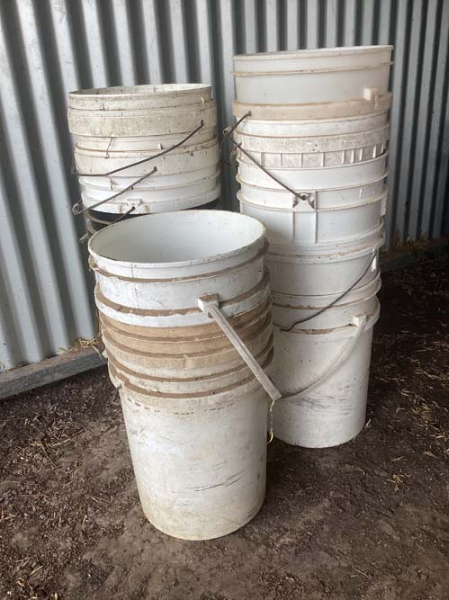 Lot 79 - 14 x 20 Litre Containers | AuctionsPlus