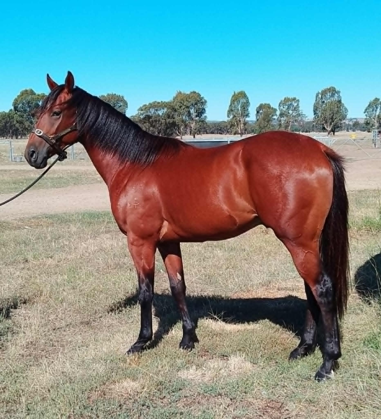 Lot 7 - SULLIVANS BAY OF FIRE | AuctionsPlus