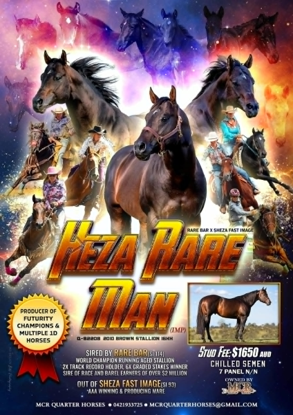 Lot 12 - HEZA RARE MAN STALLION BREEDING | AuctionsPlus