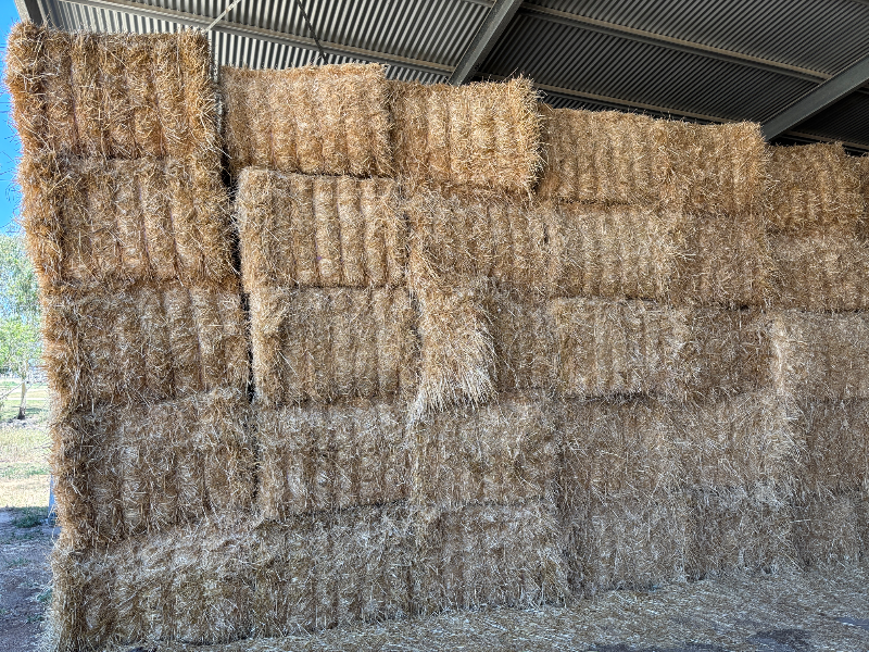 STEP DECK (41*) - Barley straw bales | AuctionsPlus