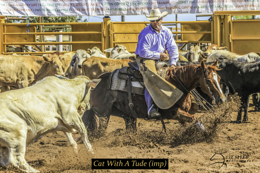 Lot 38 - TOO TUFF | AuctionsPlus