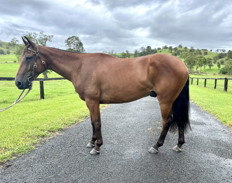 Lot 165 - Wilstock william | AuctionsPlus