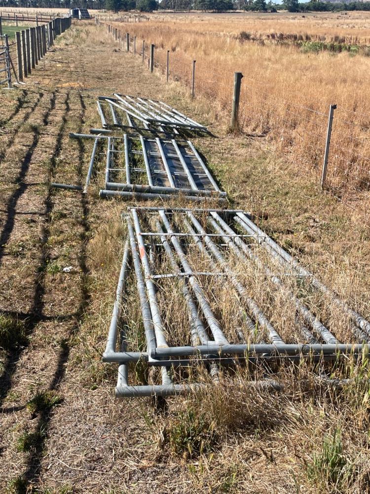Lot 102 - 6x 5 Bar Cattle Panels - 3m x 1.5m | AuctionsPlus