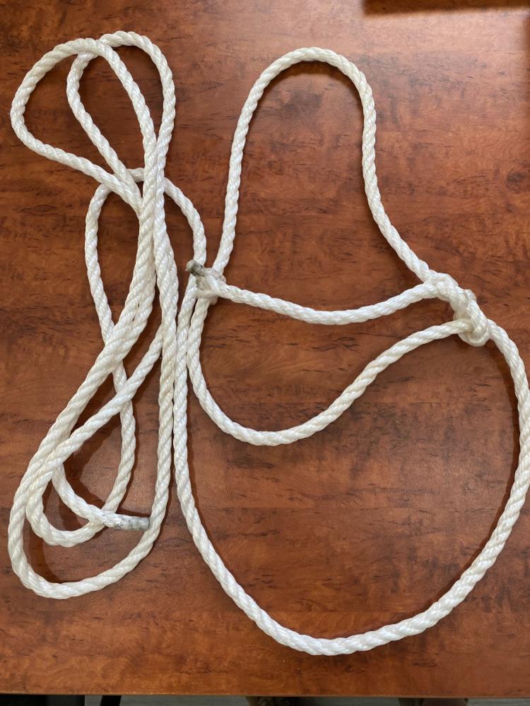 Rope cattle halter No2 | AuctionsPlus