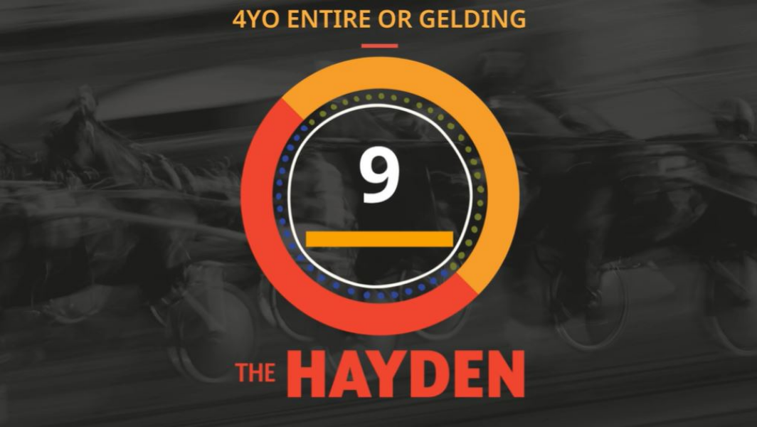 Lot 109 - The Hayden Barrier 9 | AuctionsPlus