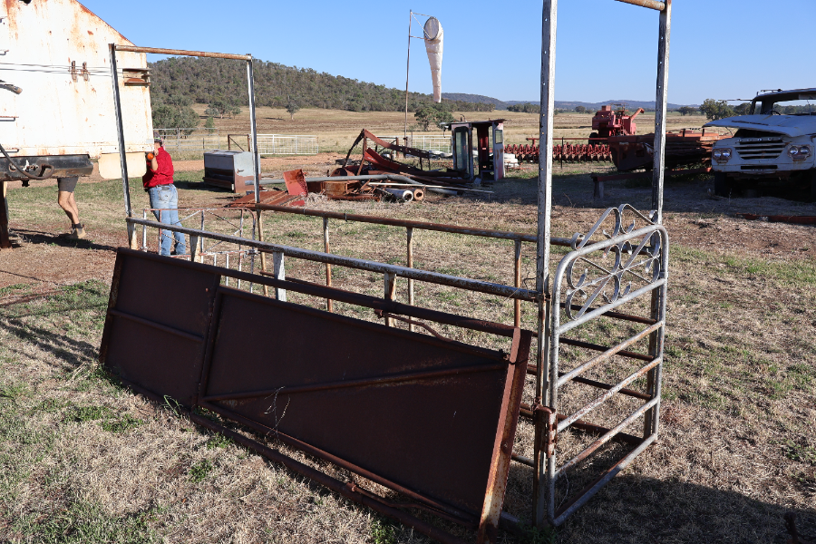 Lot 30 - Rhino Trap/ Race | AuctionsPlus