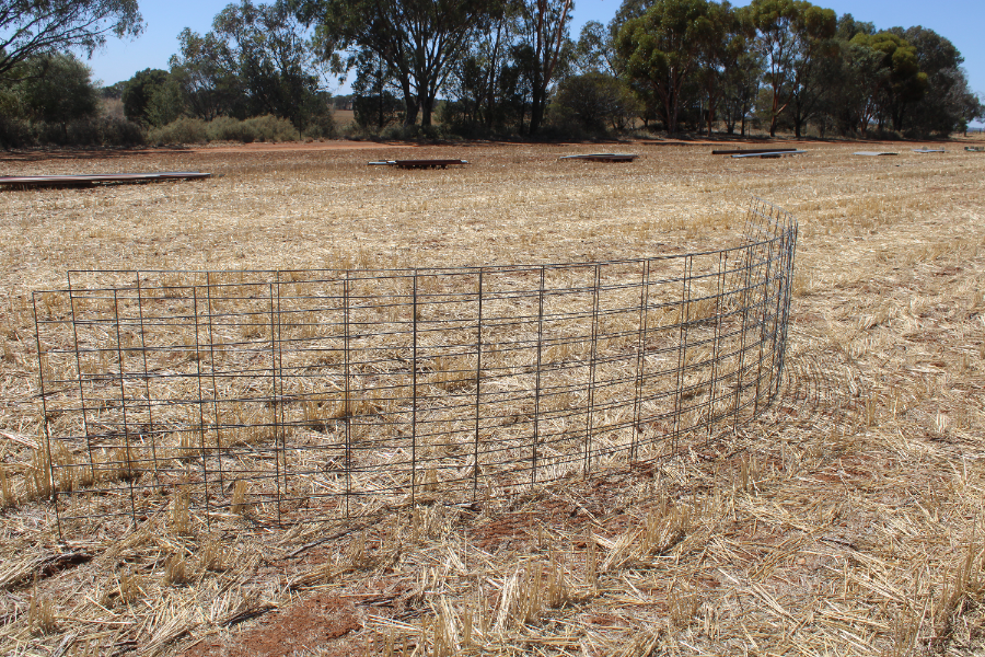 Lot 65 - Sheep yard mesh | AuctionsPlus